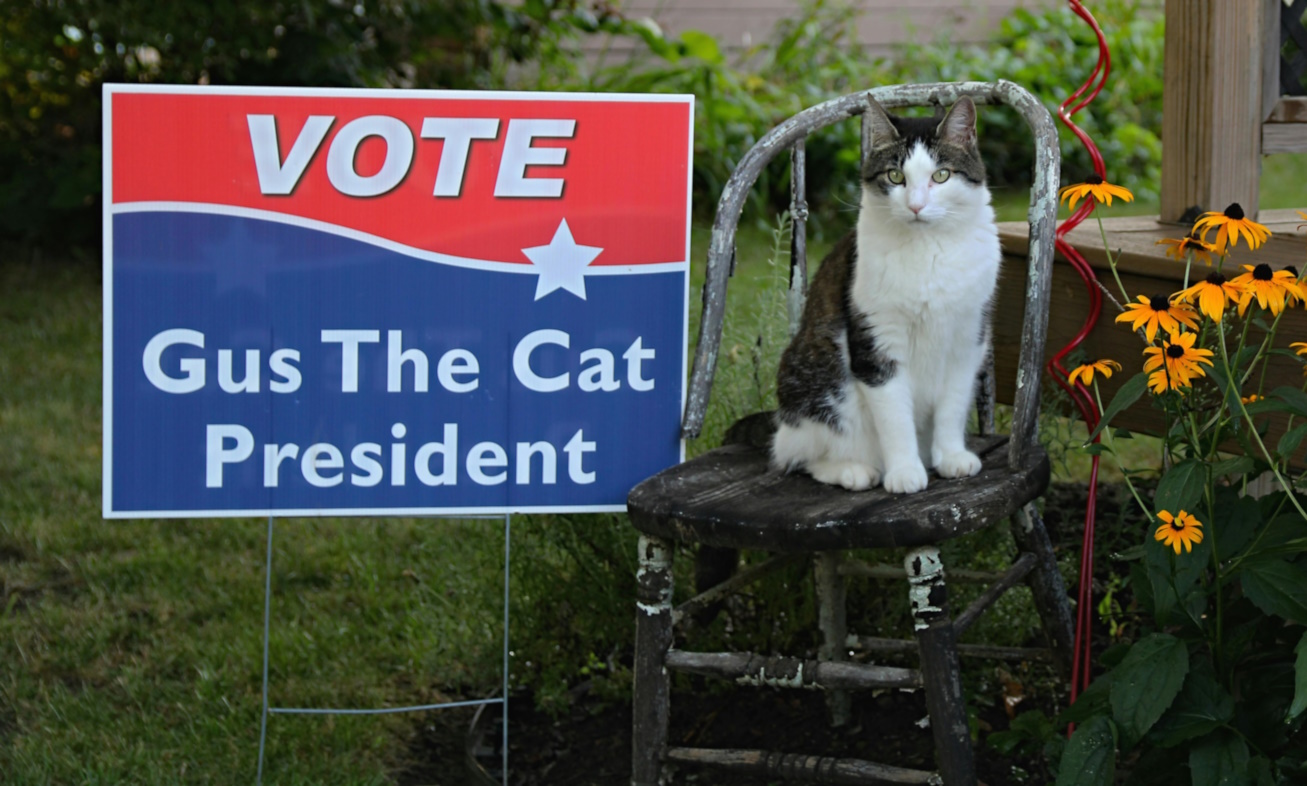 The Legal Consequences of Taking or Defacing Campaign Signs - Omnis Law ...